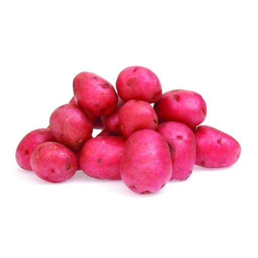 Potato Red (5Kg Bag) – 1st Choice Fruit & Veg
